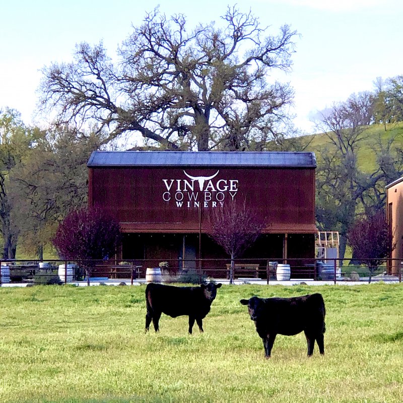 Vintage Cowboy Winery - Photo Gallery