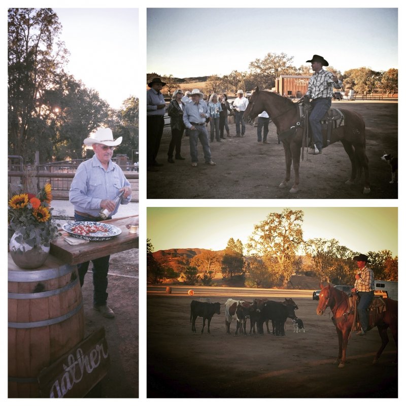 Vintage Cowboy Winery - Photo Gallery